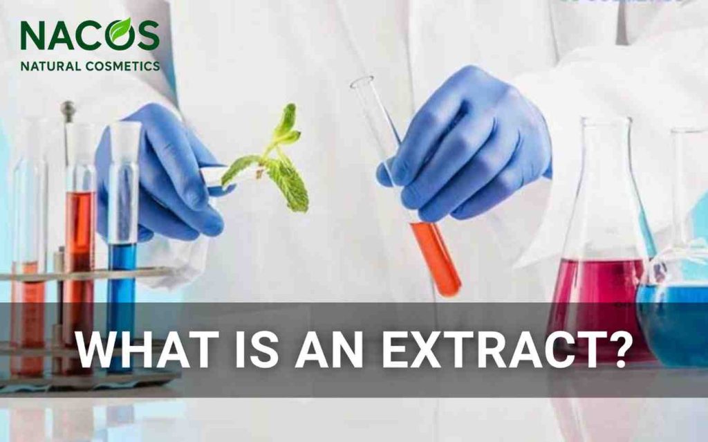 Understanding Natural Extraction Processes and Technologies in ...